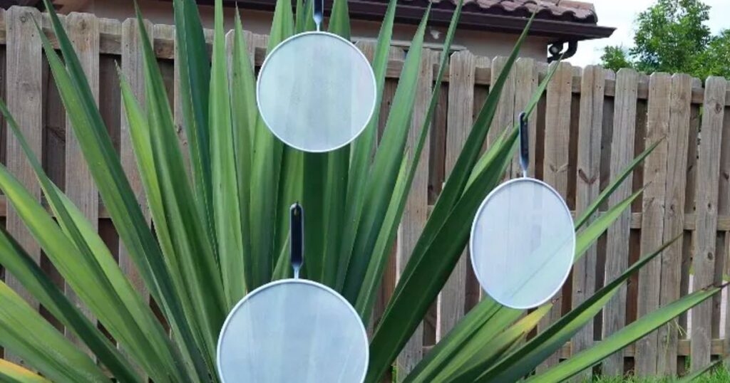 How to Make a Dollar Tree Splatter Screens Pumpkin